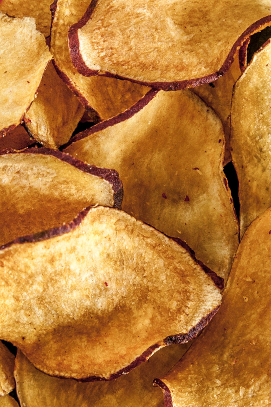 TERRA® Salt & Vinegar - Terra Chips