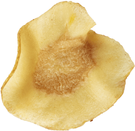 TERRA® Heritage Blend - Terra Chips